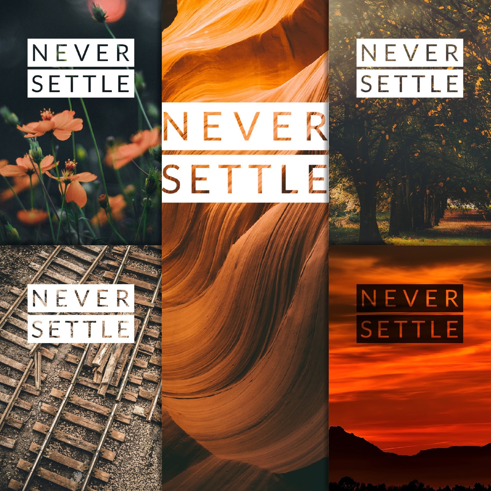 Never Settle Wallpaper Pack 24 (30 Wallpapers) DECEMBER 2017 - OnePlus ...