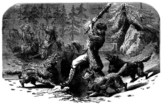 The Grey Movie Wolf Attacks