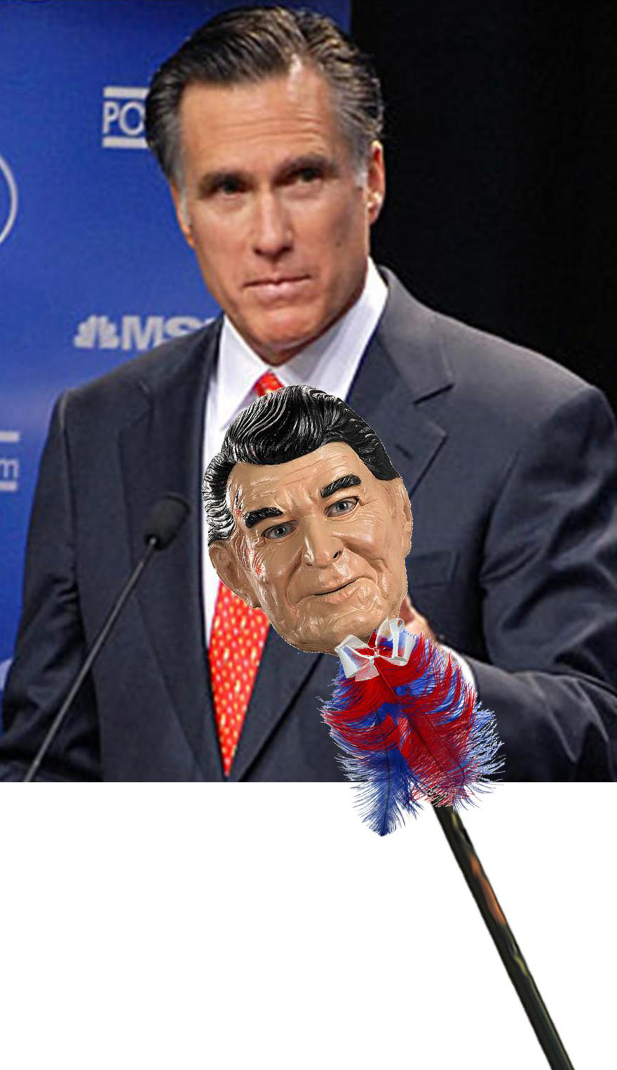 The Maine Coon Revolution Newsletter