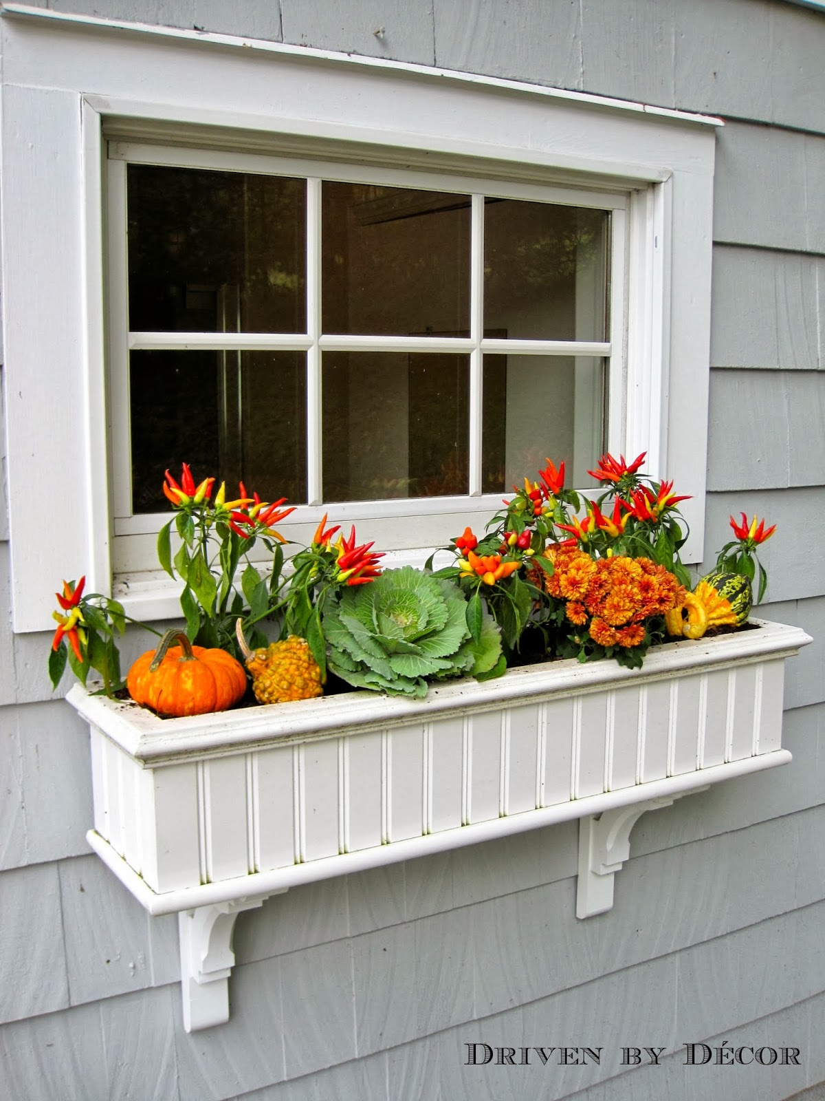 My Fall Window Boxes | Driven by Decor