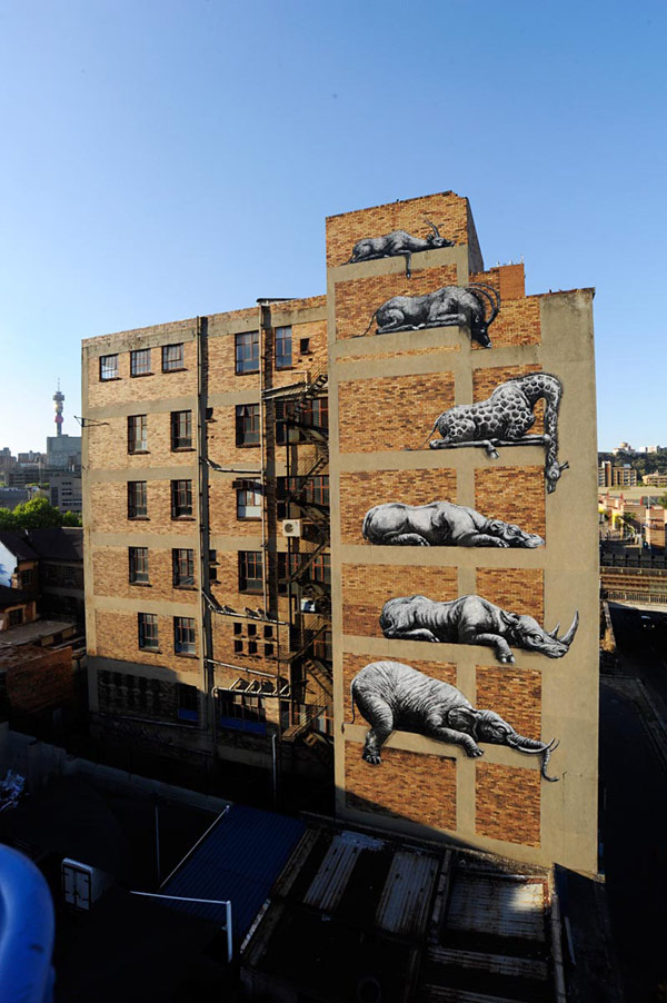 Animal street art in Johannesburg, South Africa