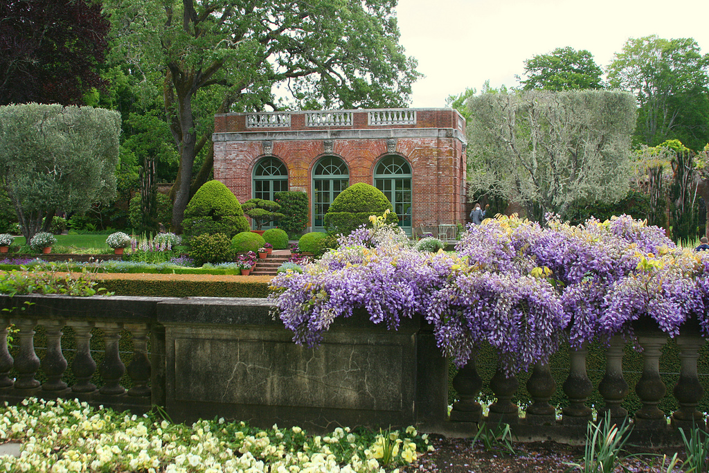 Garden Bloggers Fling: Filoli