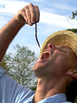 And I Think to Myself...What A Wonderful World.: "They Actually Eat ...