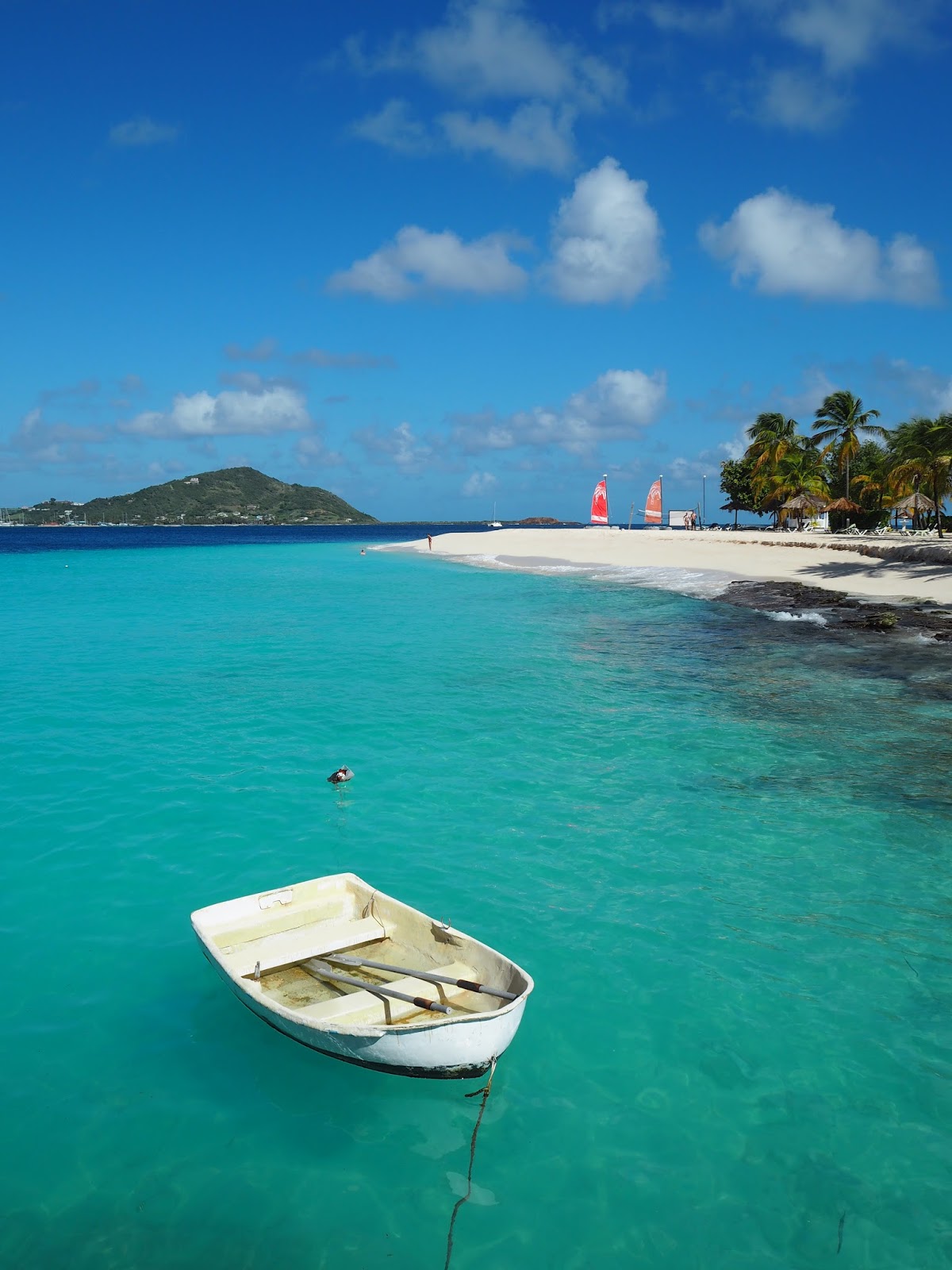 Travel - Barbados and Palm Island, The Caribbean - Roses and Rolltops