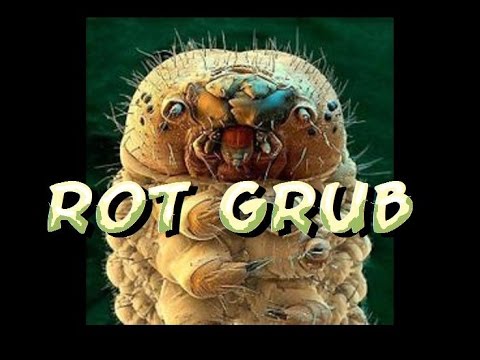 The Dice Are A Lie: Monster Ecology: From Rot Grub to Carrion Crawler