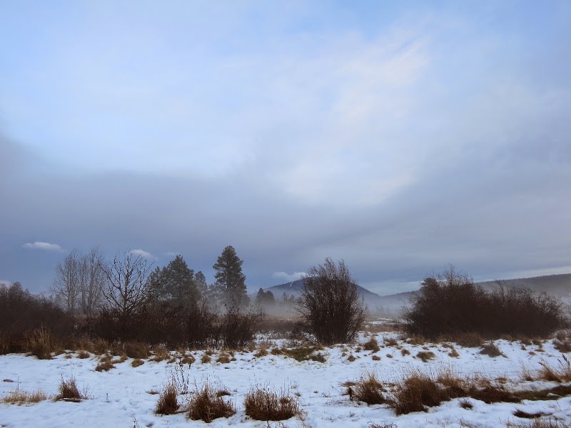 The Cranbrook Guardian: One Misty, Moisty Morning
