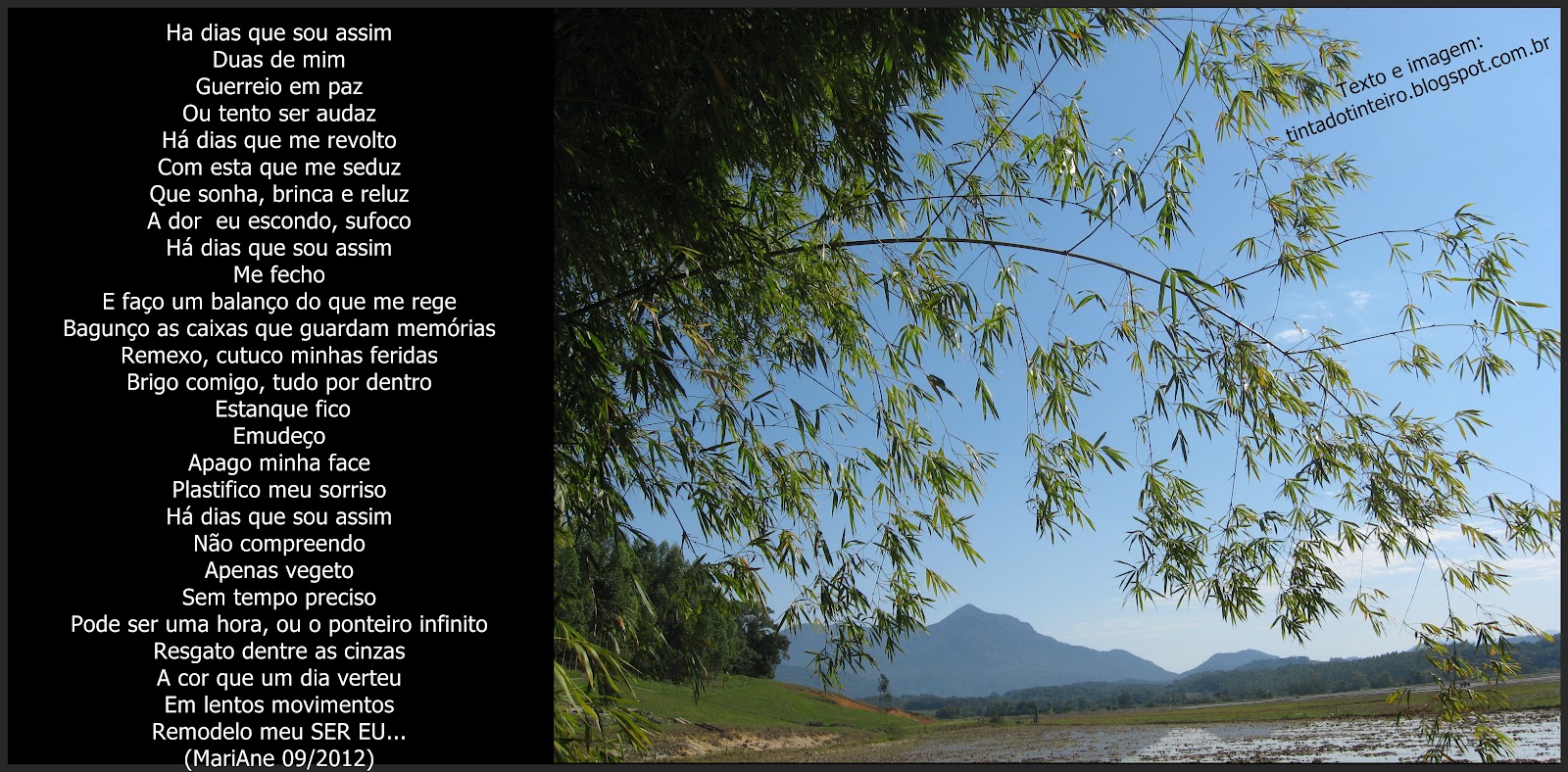 As cores que sou: Há dias que sou assim