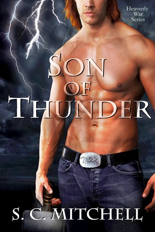 Thursday Threads: Son of Thunder by S.C. Mitchell