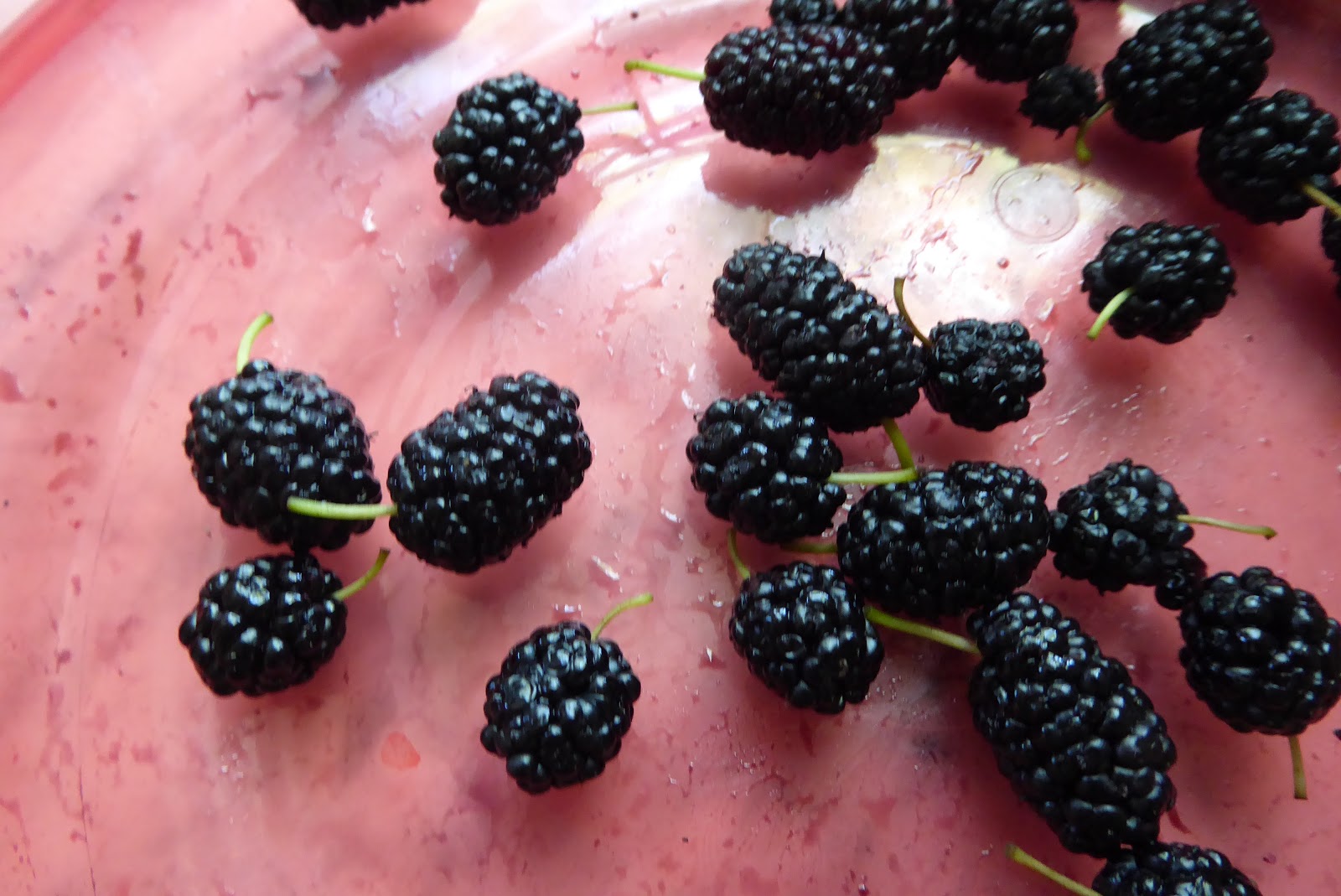 Susan Can Cook: Mulberry and Lime Jam
