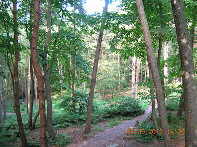 Noumena, Cognita and Dreams: Henge Symbolism at Colney Woodland Burial Park