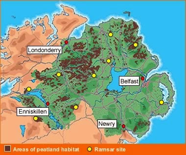 Advanced Digital Cartography