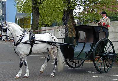 Francine Howarth . . . Romancing History.: Ladies Riding in Regency era.