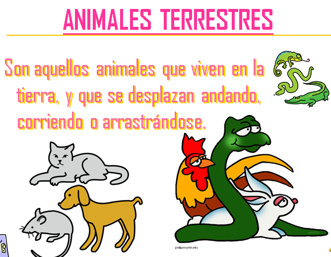 Ciencias Naturales: Animales Terrestres y Acuaticos