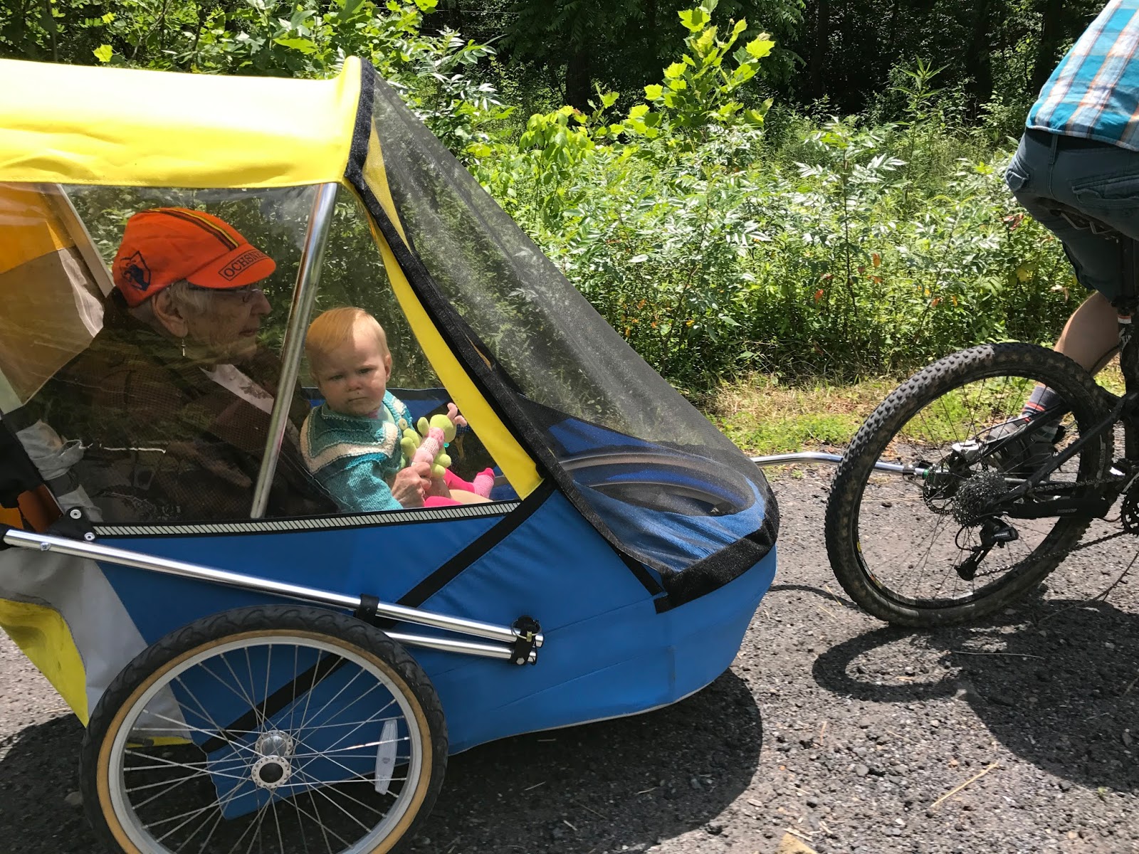 Creeper Trail Bike Rental & Shuttle: Special Needs Buggy