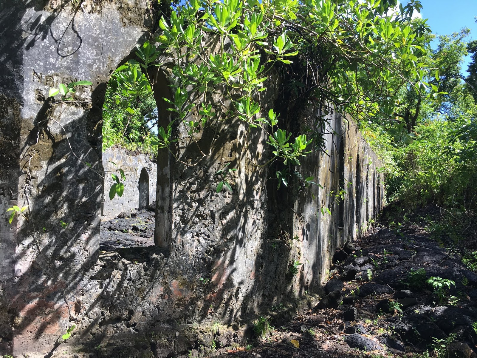 New ZimZim: Vaiola Summer & Training