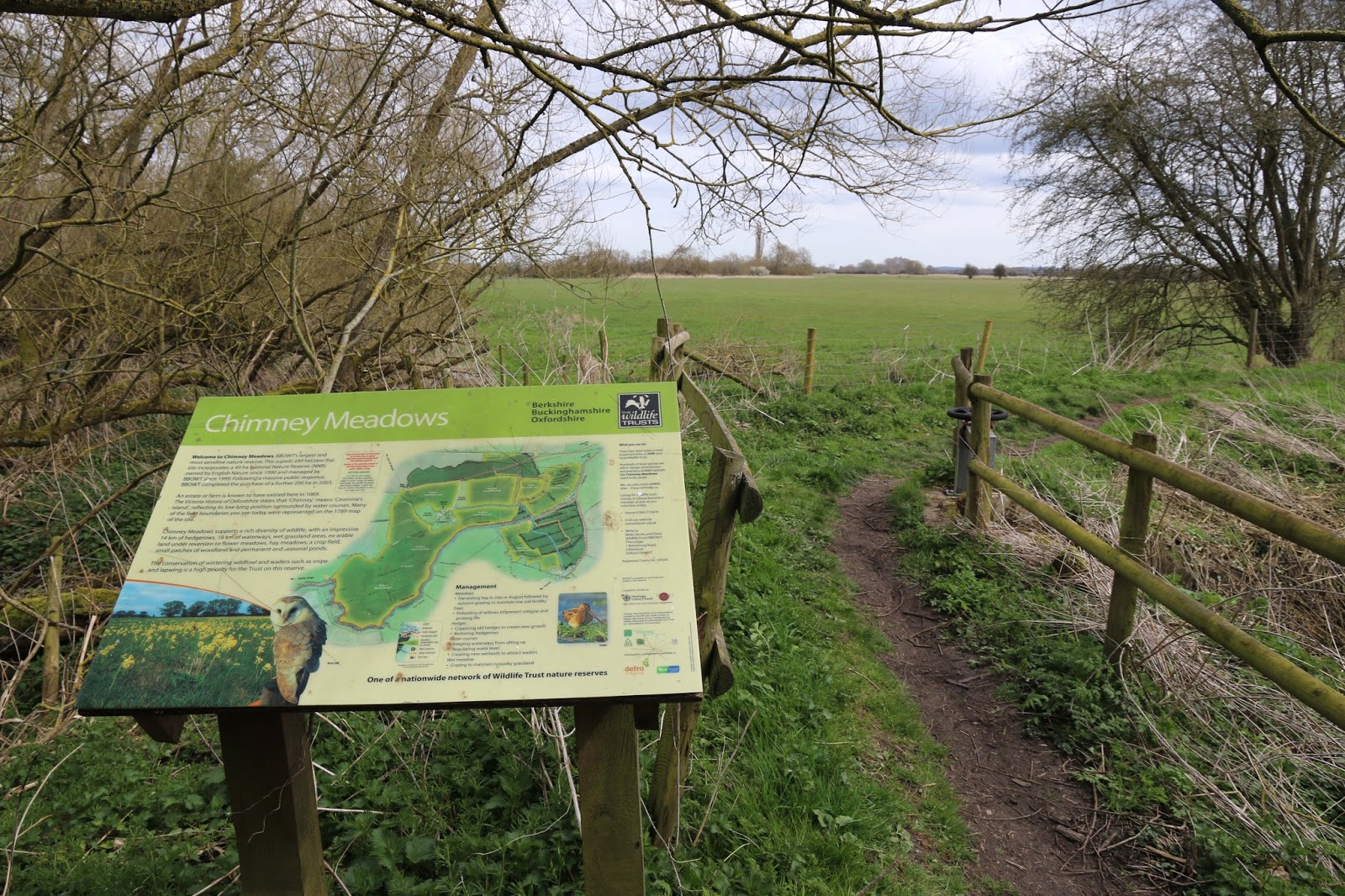 Nature in the Heart of England: Chimney Meadows: early spring beside ...