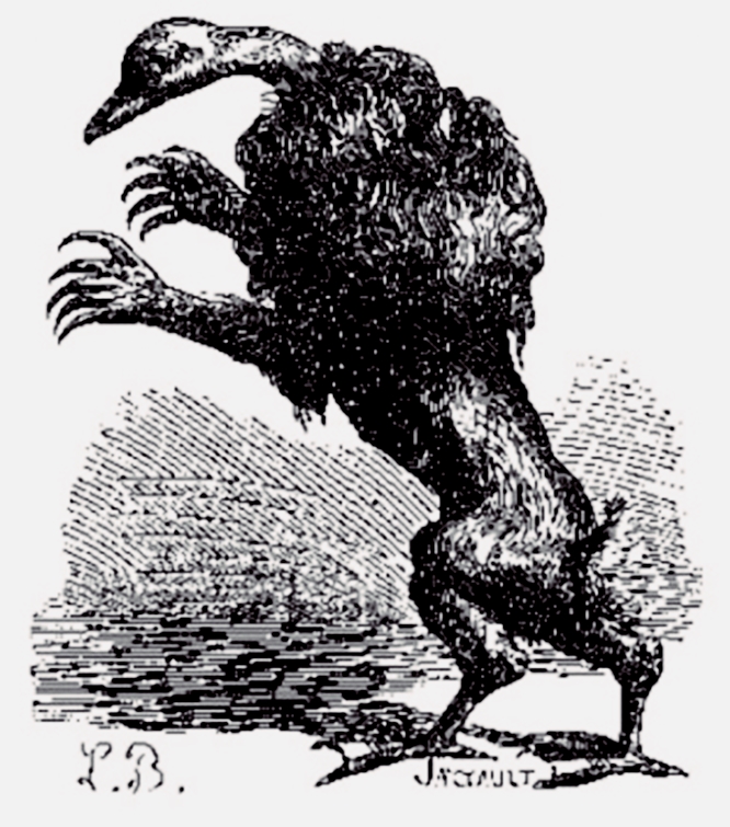 Mecnera: Todos los 72 daemons de la goetia