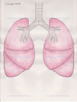 Drawing Heart: Heterotaxy RAI vs LAI