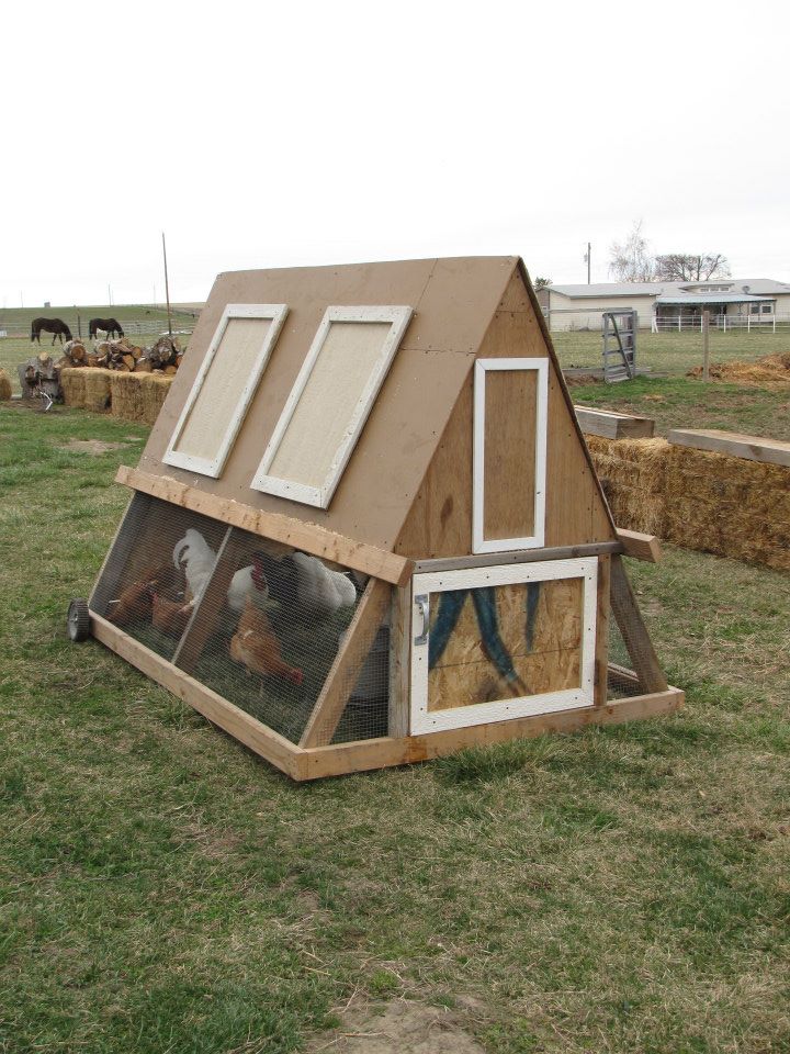 Thoughts From Jules...: Chicken Tractor for the Laying Hens...