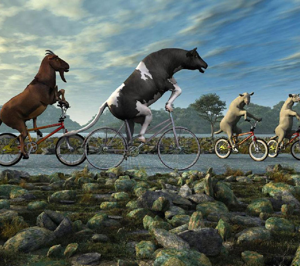 Bicycle Tuesday - 5 (Now it's a party!)