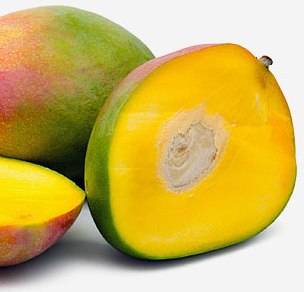 MANGO TREES: Mango stone