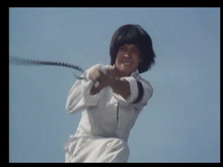 SHAOLIN'S BORN INVINCIBLE a.k.a BORN INVINCIBLE