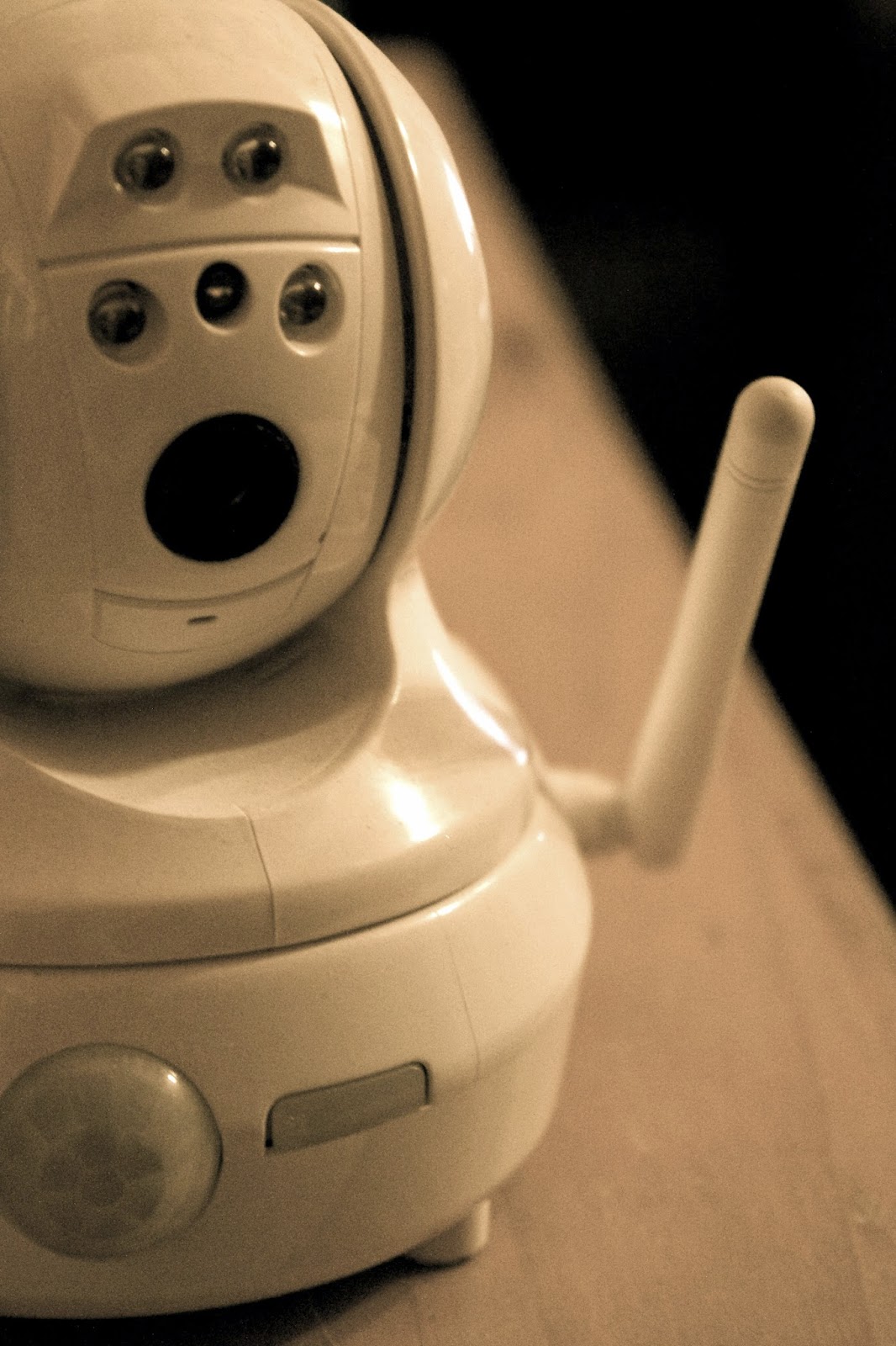 Liz P Photography: finding faces in objects