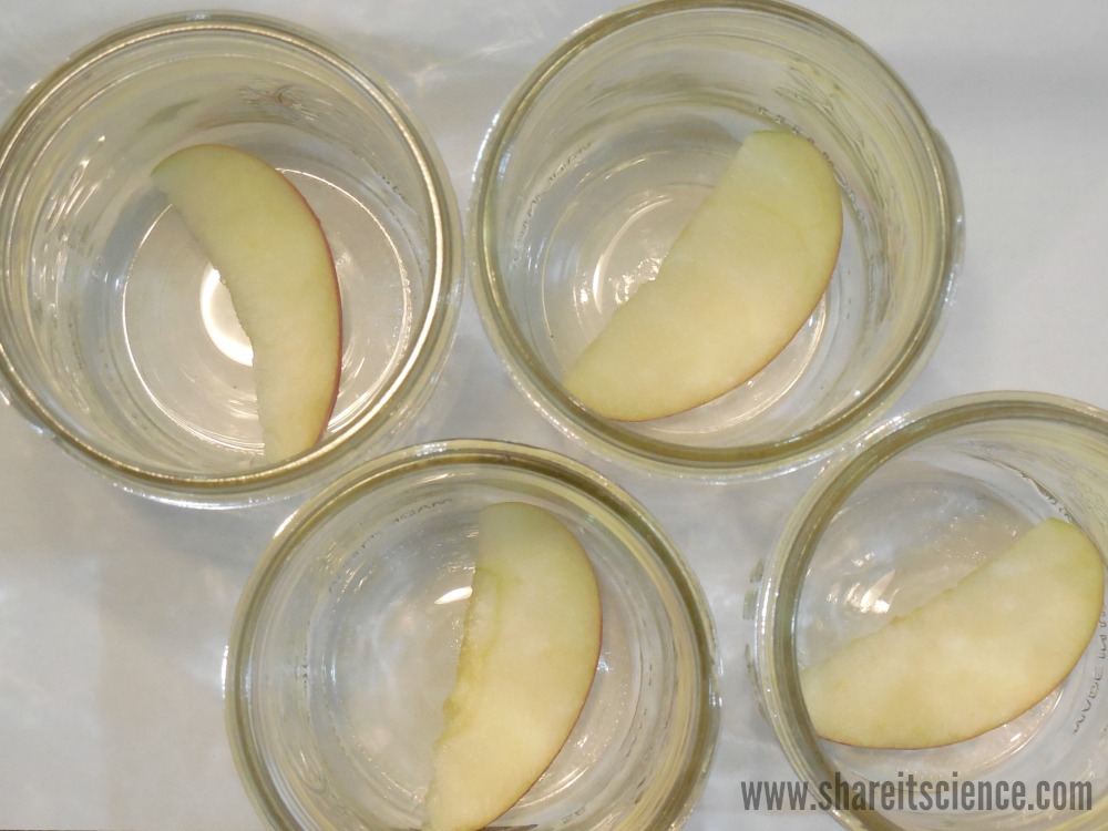 Share it! Science : Monsters and Mold: An Apple Experiment