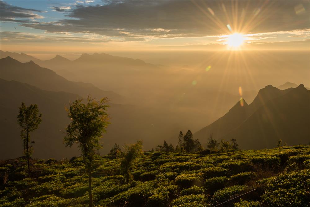 Tamilnadu Tourism: Kolukkumalai