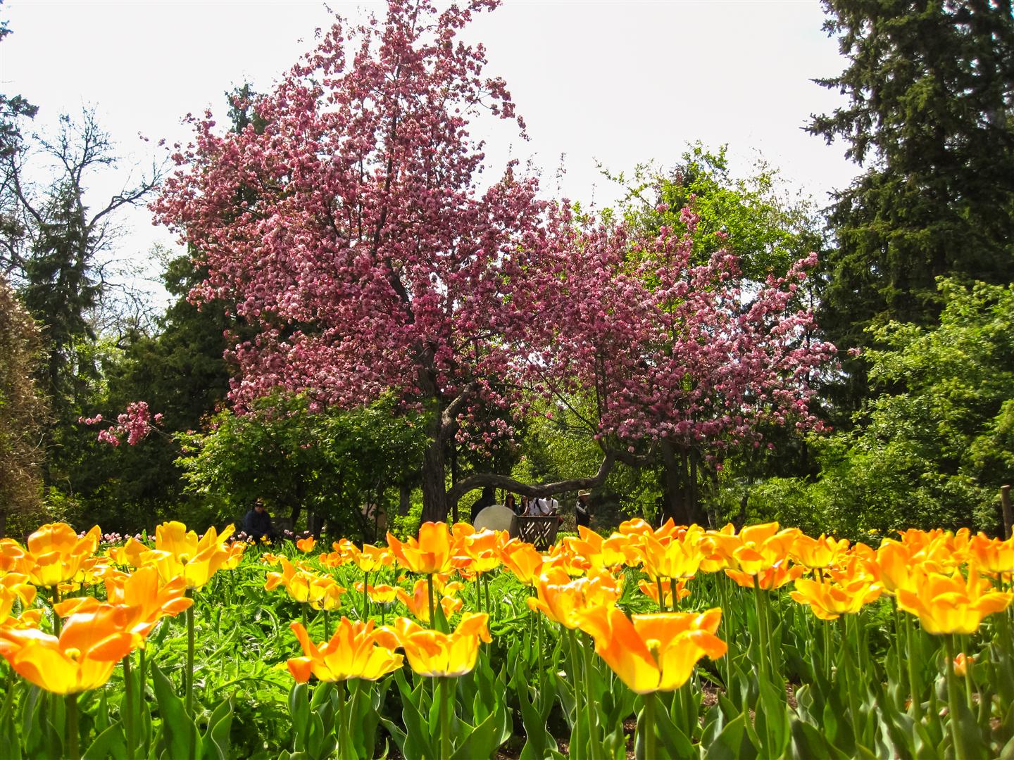 Uber Random: Photos: Assiniboine Park on a Sunday Afternoon in Spring