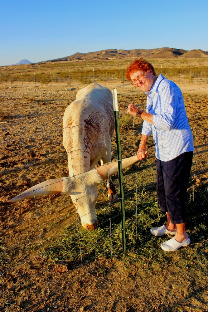 The Field Lab: visit over