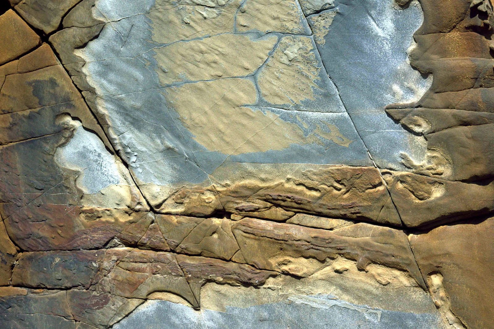 Fototeka, bizileku: Azadeh