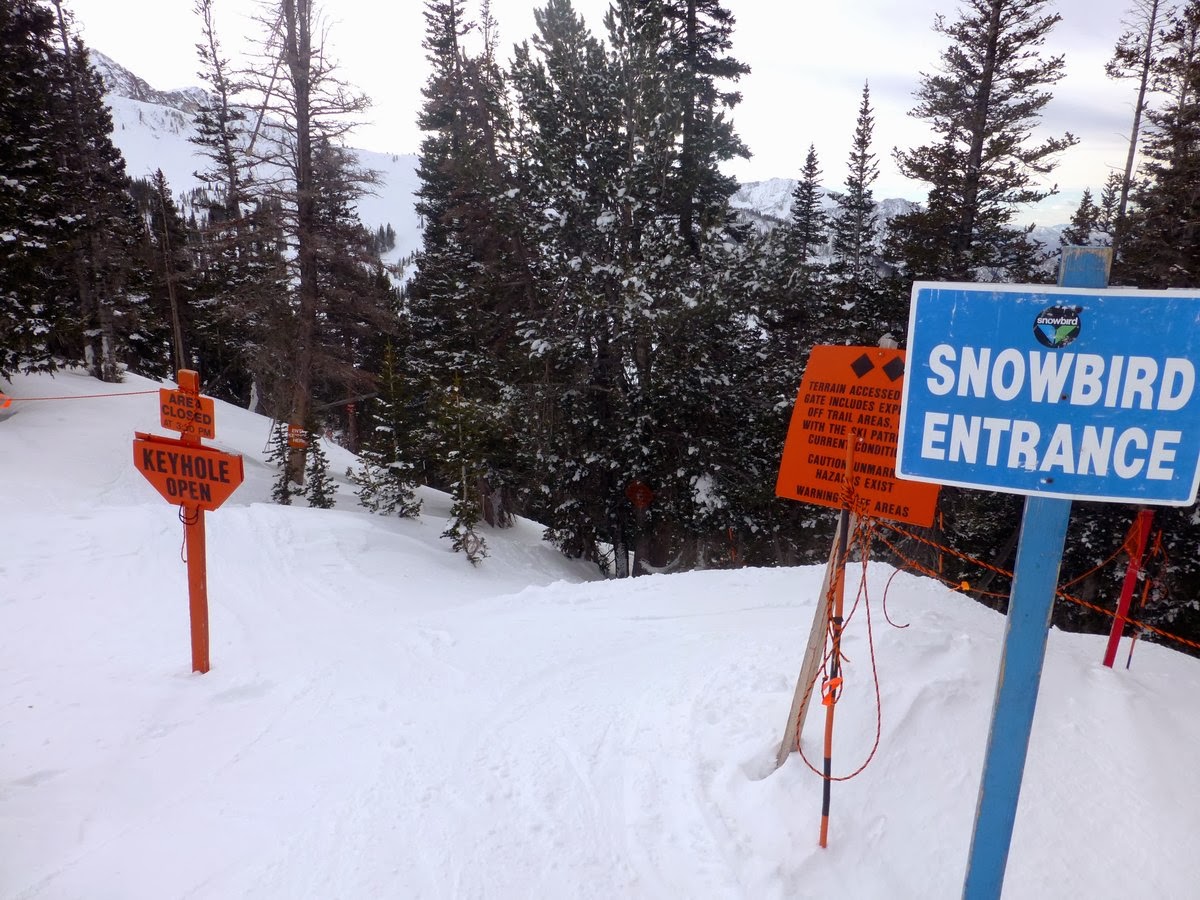 The Saratoga Skier and Hiker: Alta, UT: 02/21/2014