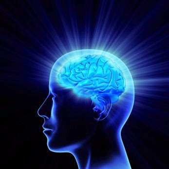 Otak, Akal, dan Kitabullah Al-Quran | ILMU DARI AL-QURAN