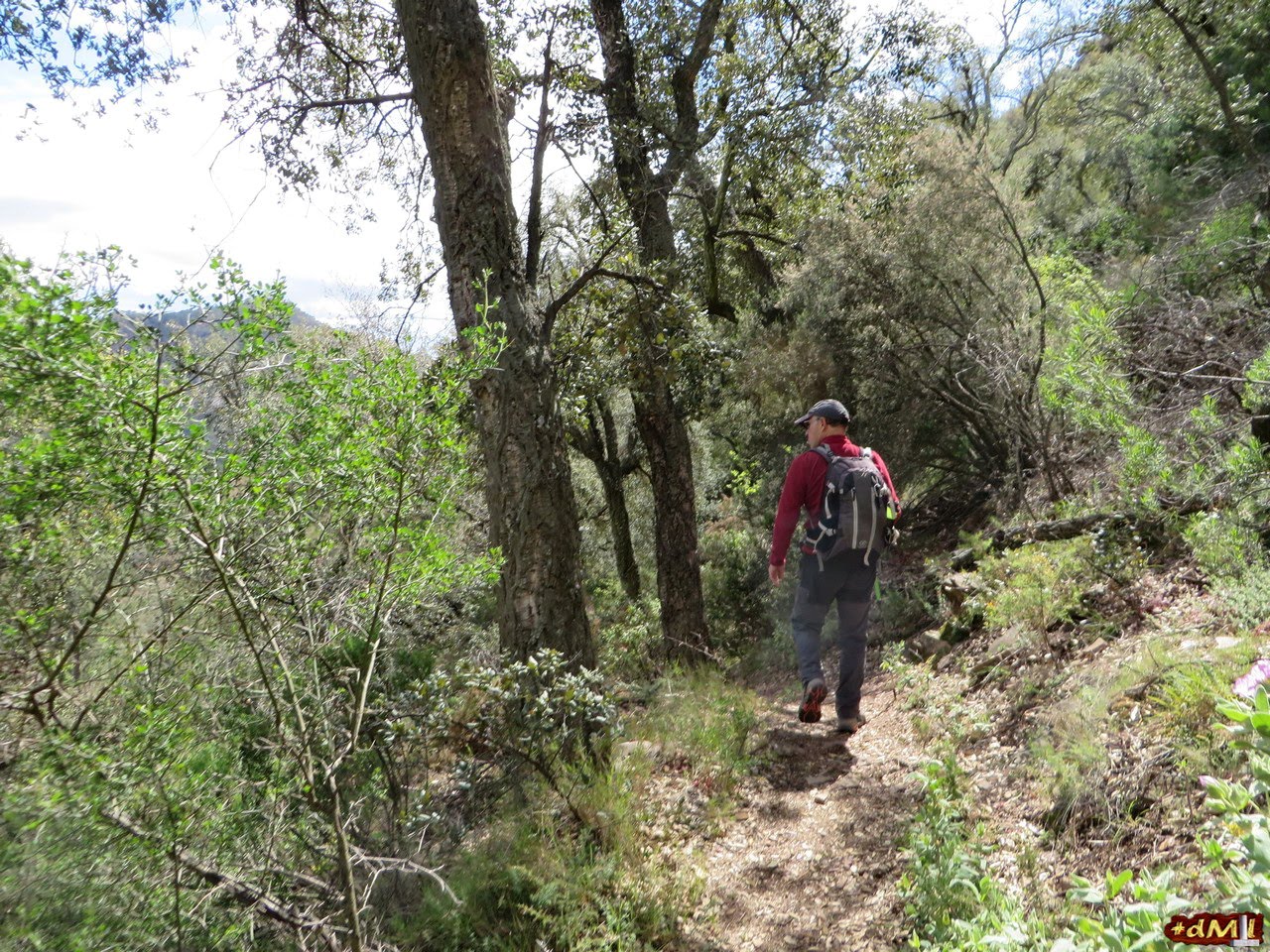 2019 - 04 Aín, Penya Pastor, Gurugú, Pico Espadán, Collado Íbola ...