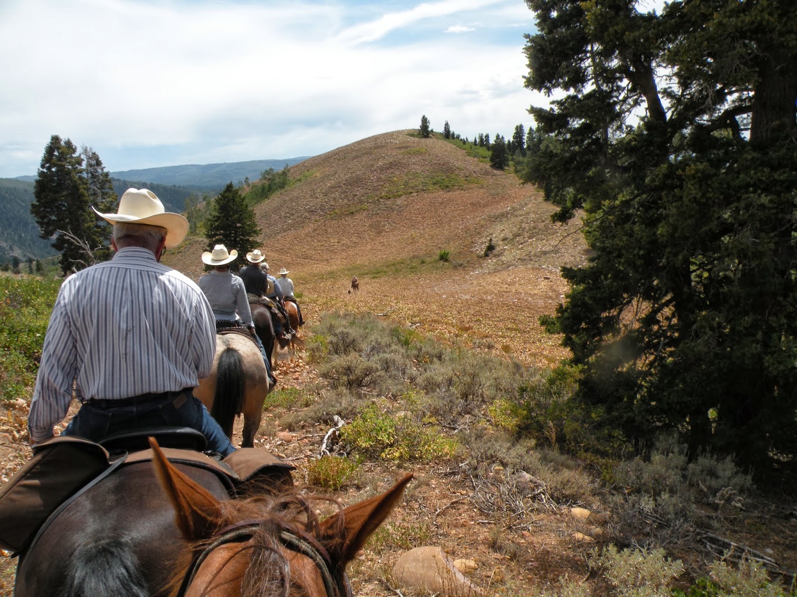 Dream Packer Trail Adventures: Monte Cristo, Utah, Lightning Ridge