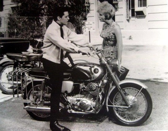 WAYNE'S WORLD OF CINEMA: ROUSTABOUT (1964)