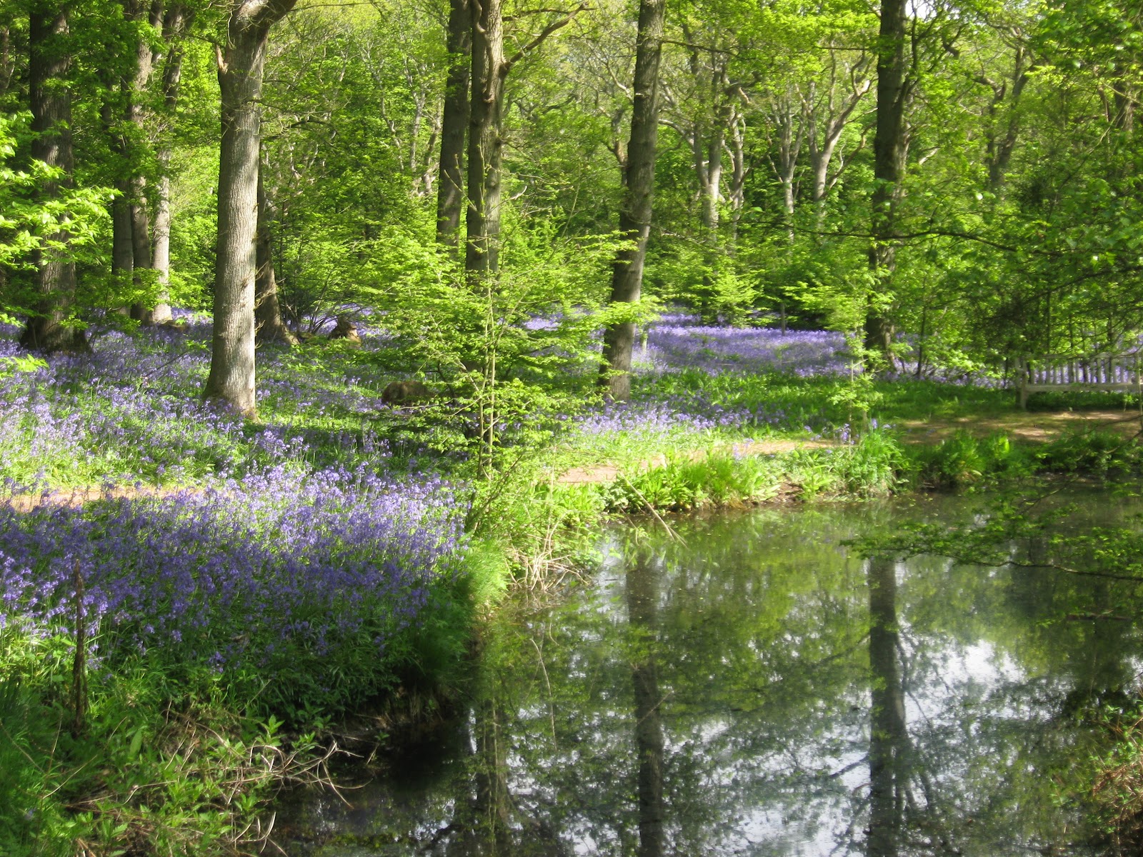 Georgia Girl With An English Heart: English Spring In My Step