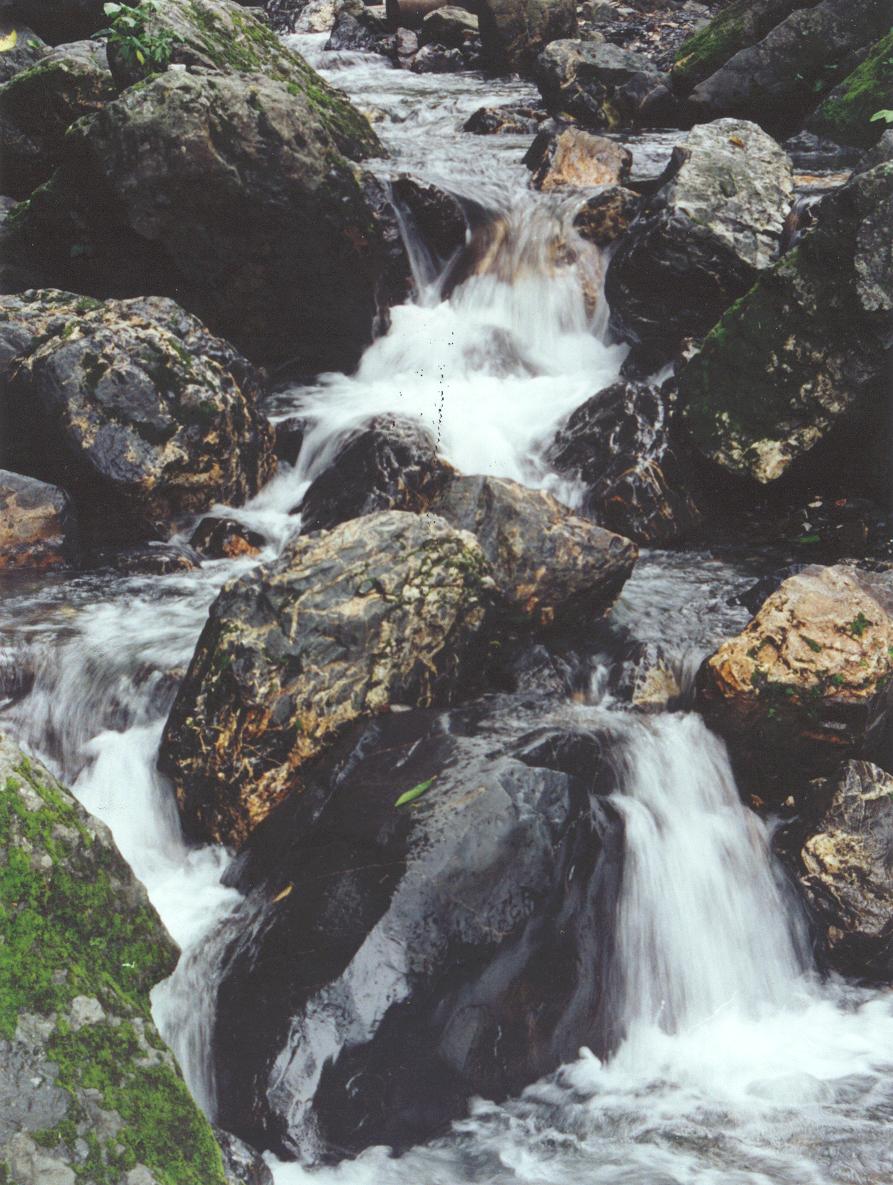 Las Bellezas de Sanare: PARQUE NACIONAL YACAMBU