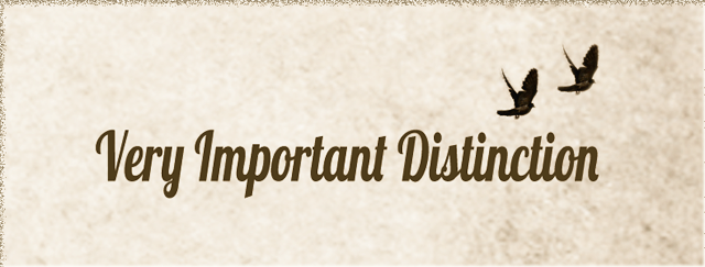 Very Important Distinction: Styling Course in Junk Shop, results