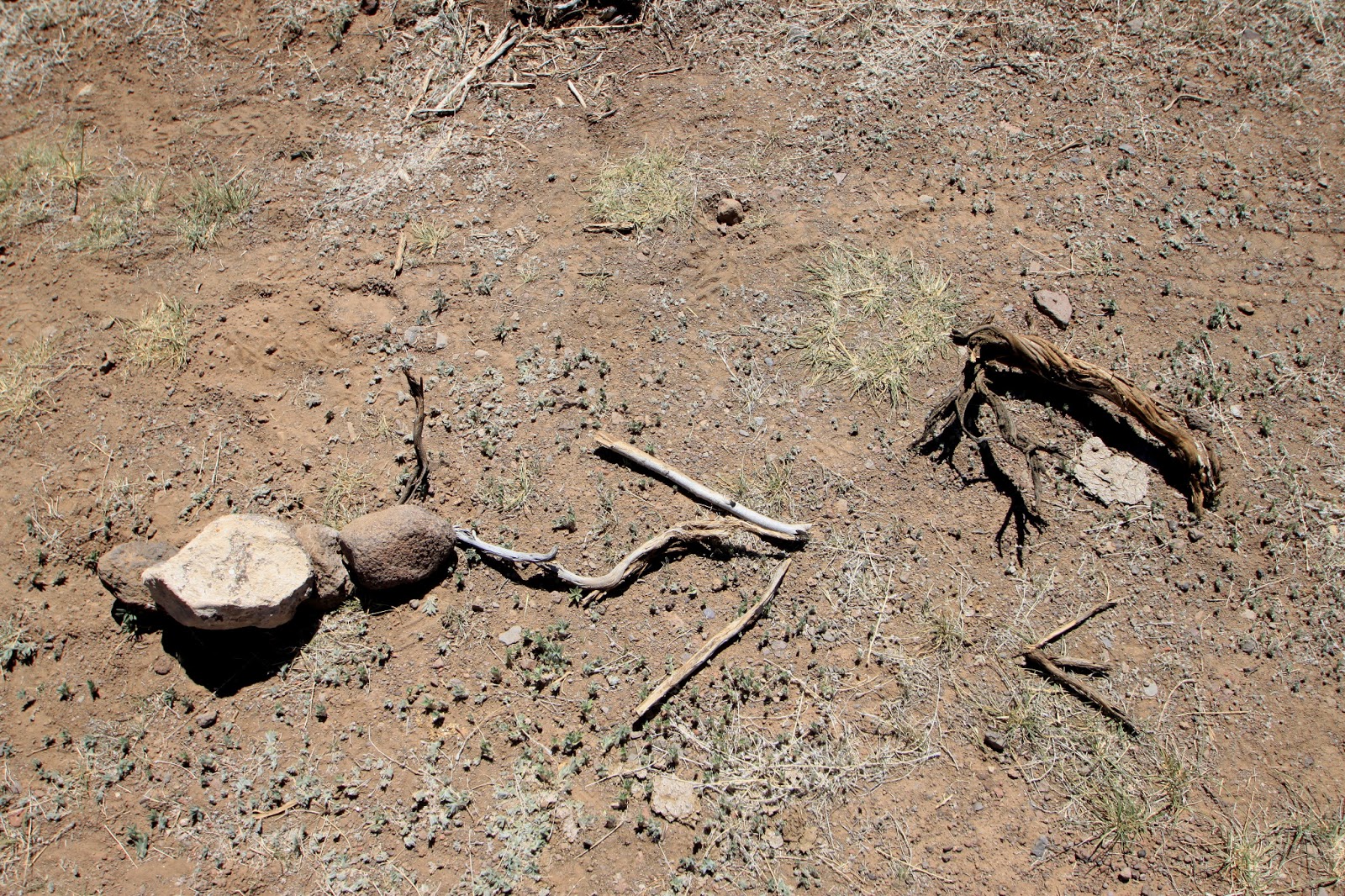 River Tales: Fremont, UM Creek, Bicknell Bottoms Kick the summer off right