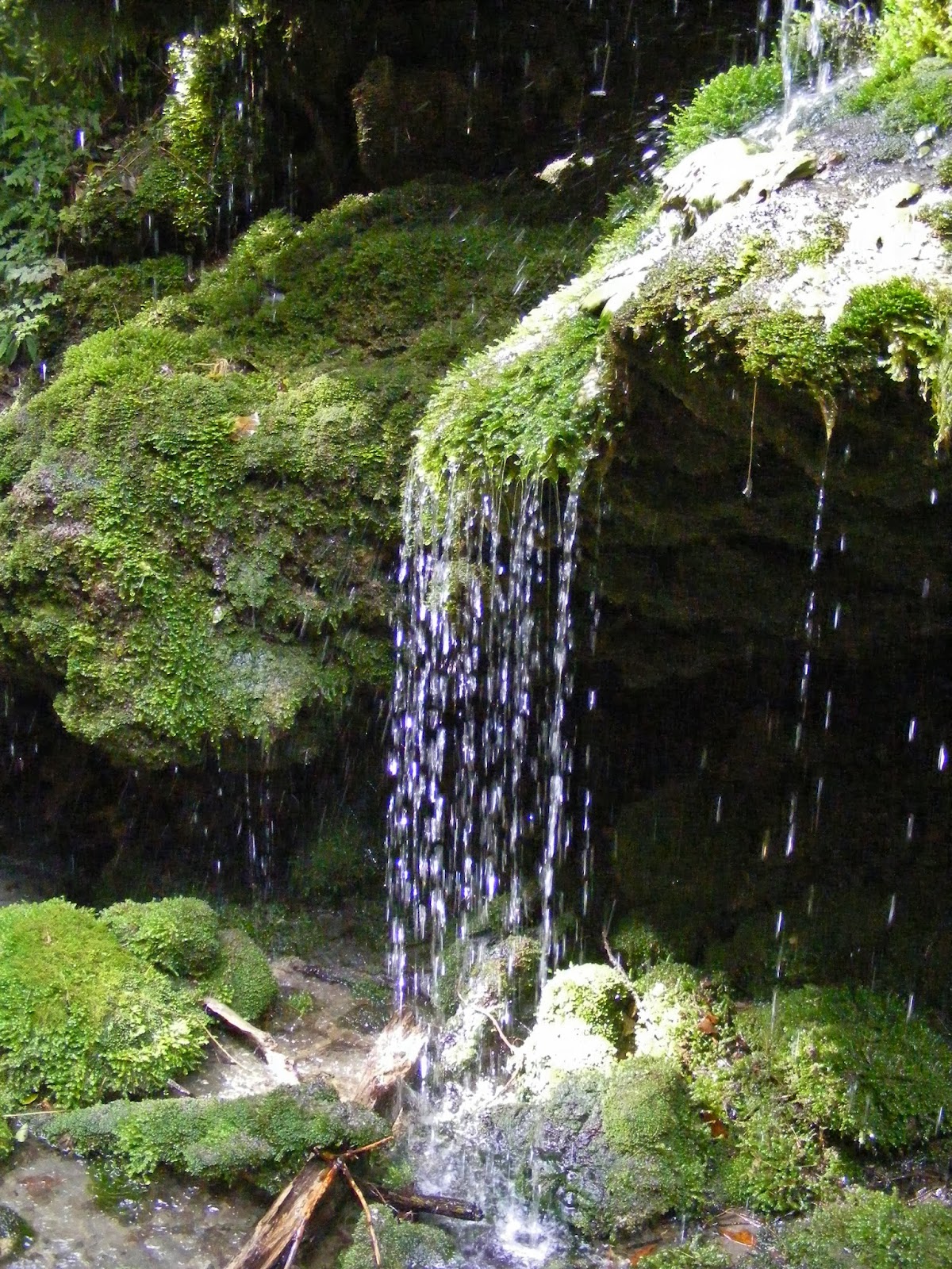 Erin's Ever After: Patuna Chasm Farm Adventure