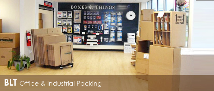 BLT Packers and Movers Delhi