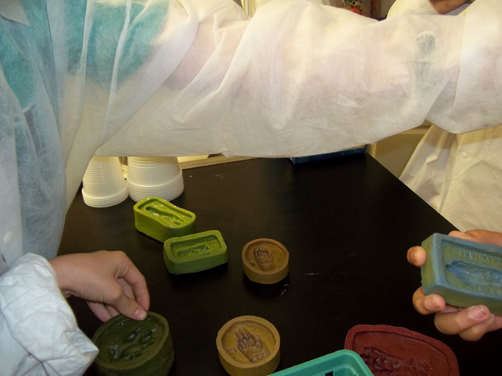 CSI:Challenging Scientific Investigations: Molds and Casts: 5th