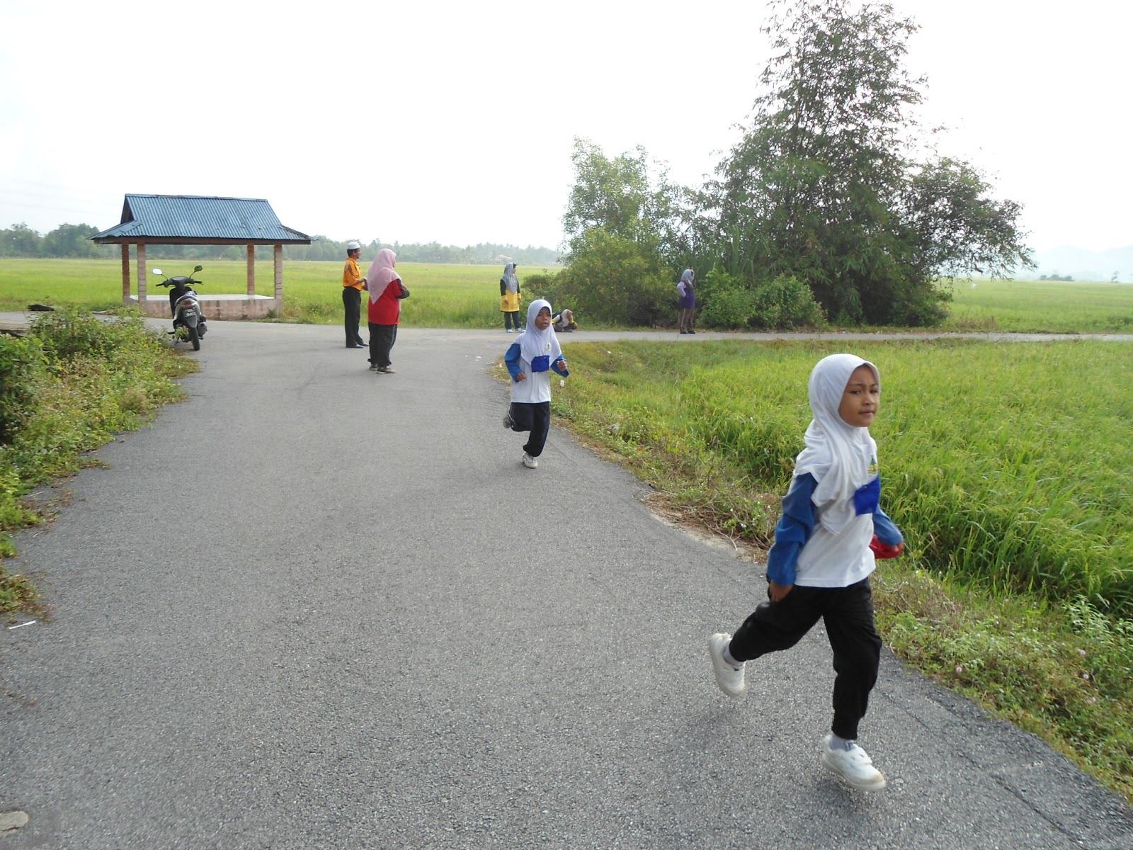 SK Darat Batu Rakit: LARIAN MERENTAS DESA PERINGKAT SEKOLAH