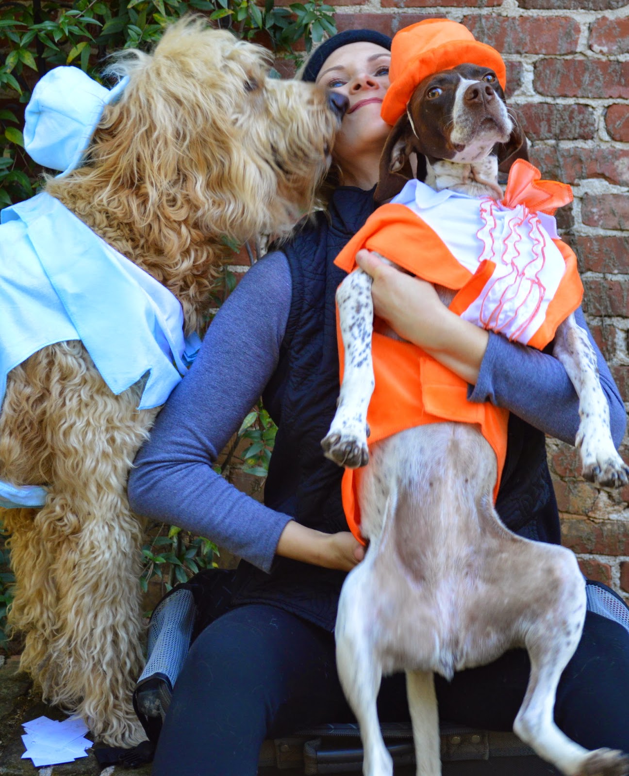 pixiedust: Happy Halloween from Dumb and Dumber...and Mary Samsonite!