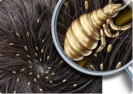 Consejos para padres primerizos