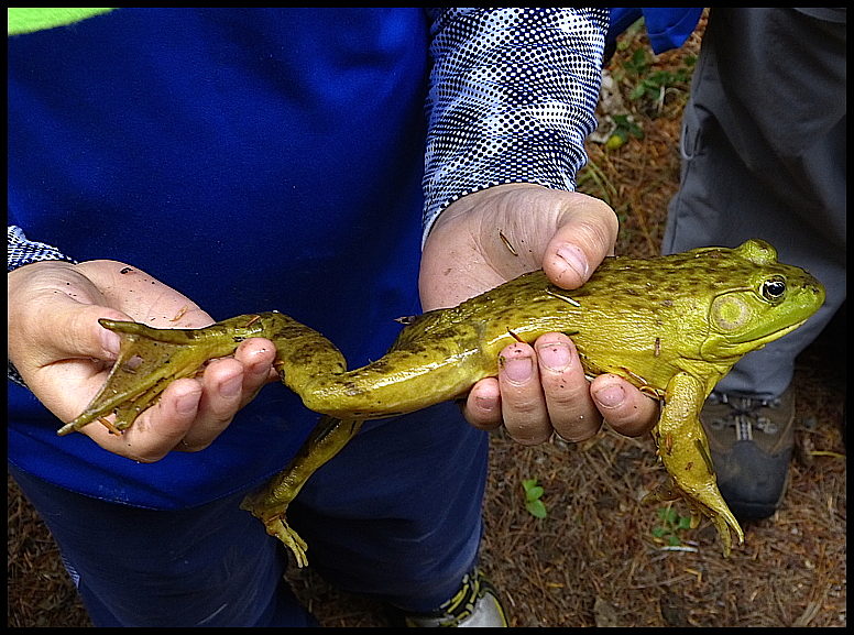 Texada Trekkers: September 2015