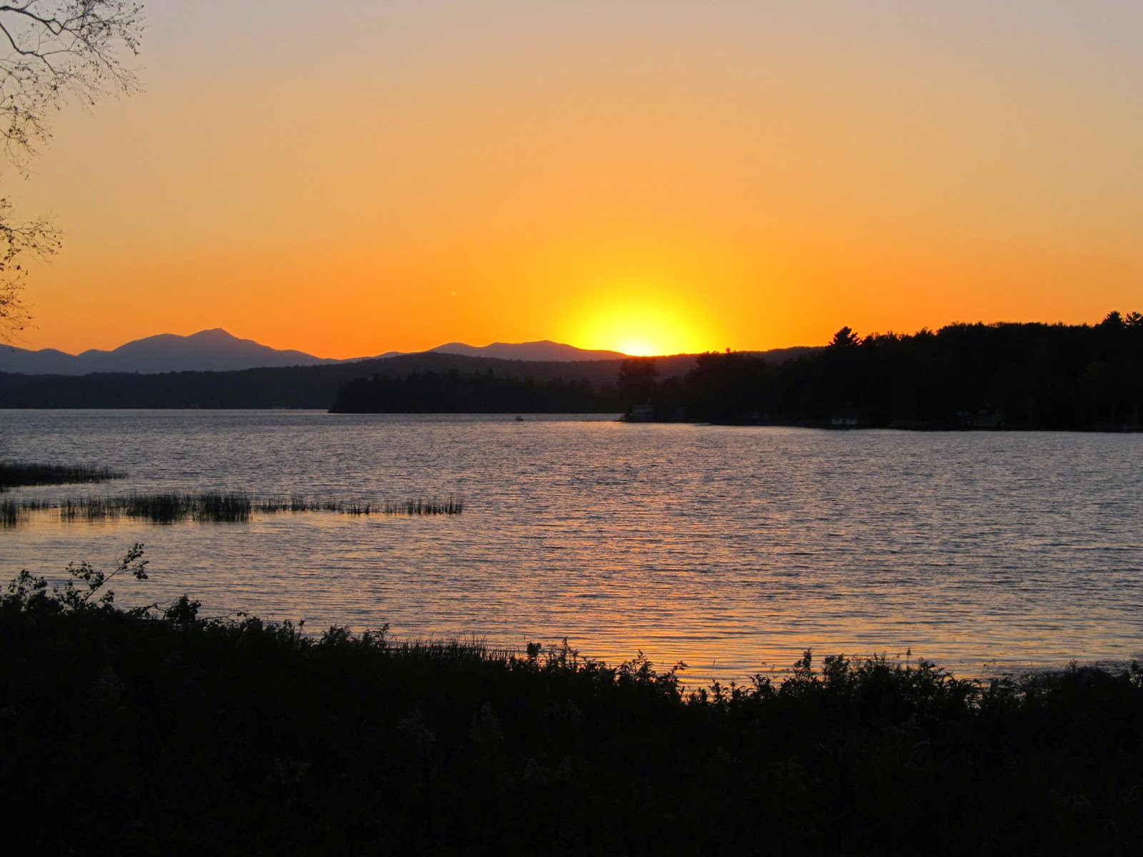 Nature's Garden Naturally: Shorter Days