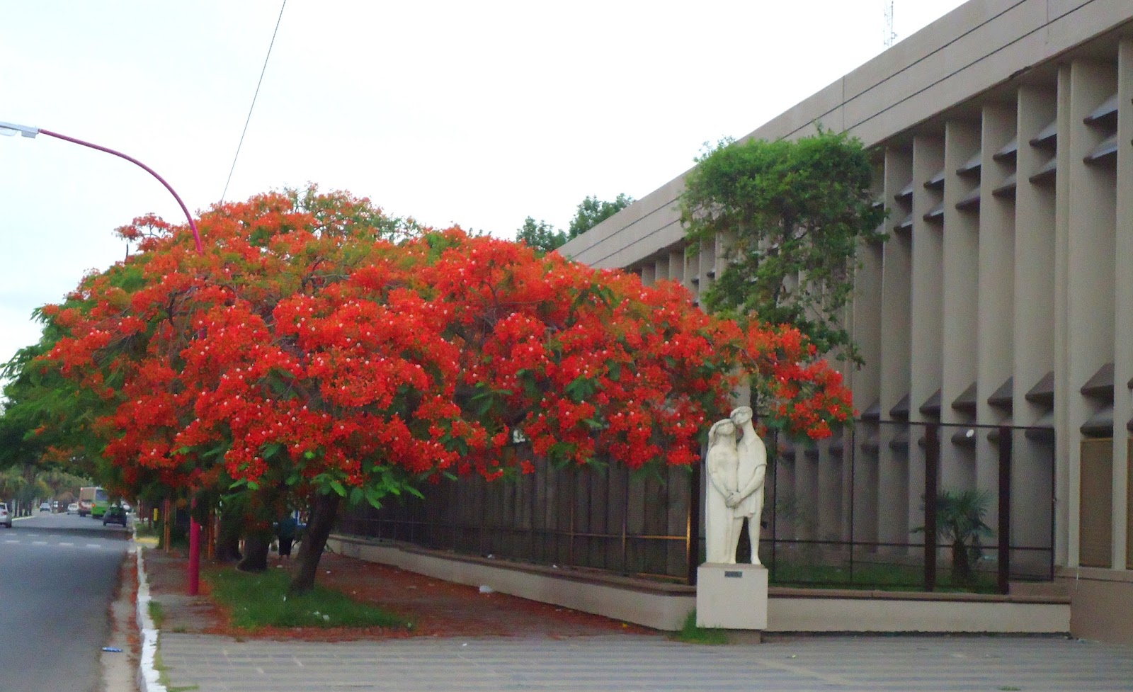 v e r d e c h a c o: Chivato